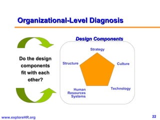 Diagnosing organizational effectiveness | PPT