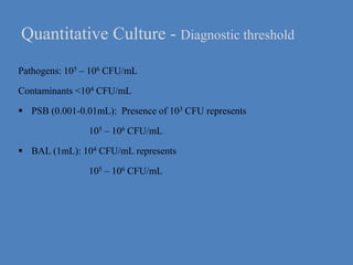 Diagnosing Pulmonary Infections in the ICU | Jindal Chest Clinic | PPT