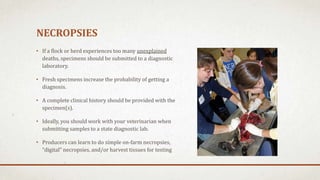 Diagnosing and treating diseases | PPTX