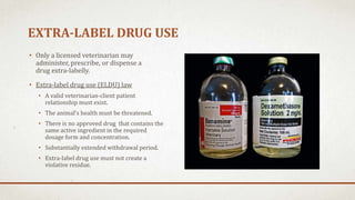 Diagnosing and treating diseases | PPT