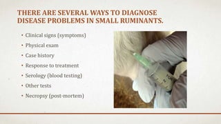 Diagnosing and treating diseases | PPT