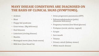 Diagnosing and treating diseases | PPTX