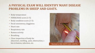 Diagnosing and treating diseases | PPT