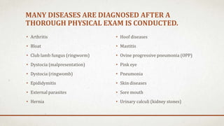 Diagnosing and treating diseases | PPTX