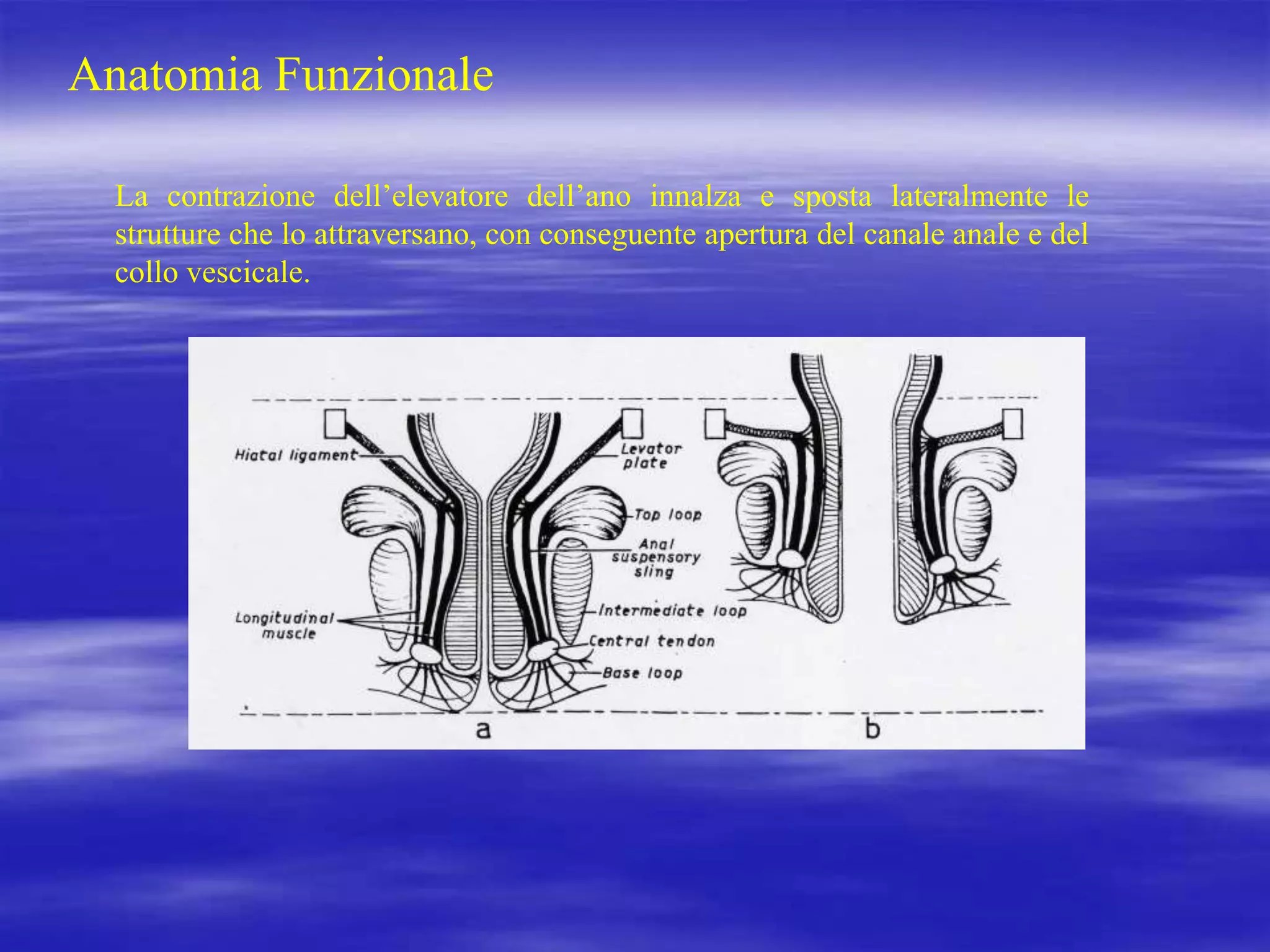 Diagnosi proctologica1.ppt