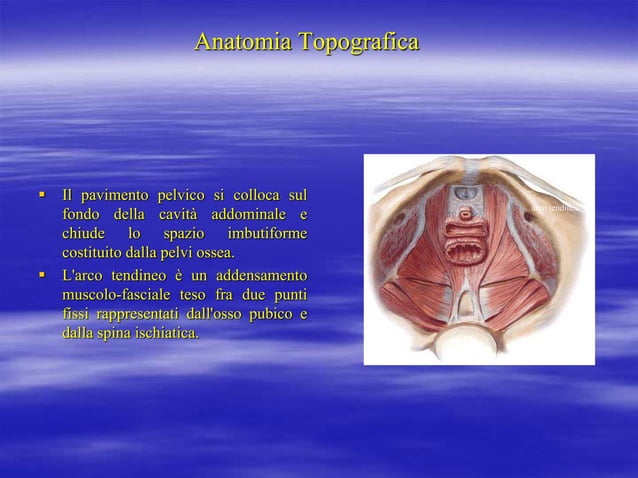 Diagnosi proctologica1.ppt