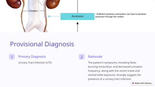 Diagnosis-and-Management-of-Urinary-Tract-Infections.pptx