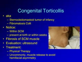 Diagnosis-of-ent-disorders-you-make-the-call.pptx
