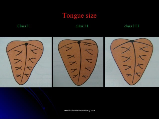 Diagnosis and clinical examination/ oral surgery courses