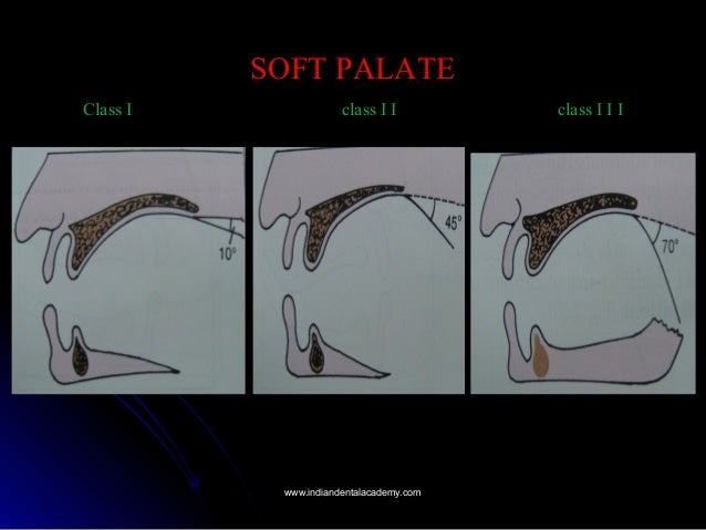 Diagnosis and clinical examination/ oral surgery courses