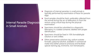 Diagnosis and control of endoparasites in wild animals and Birds.pptx