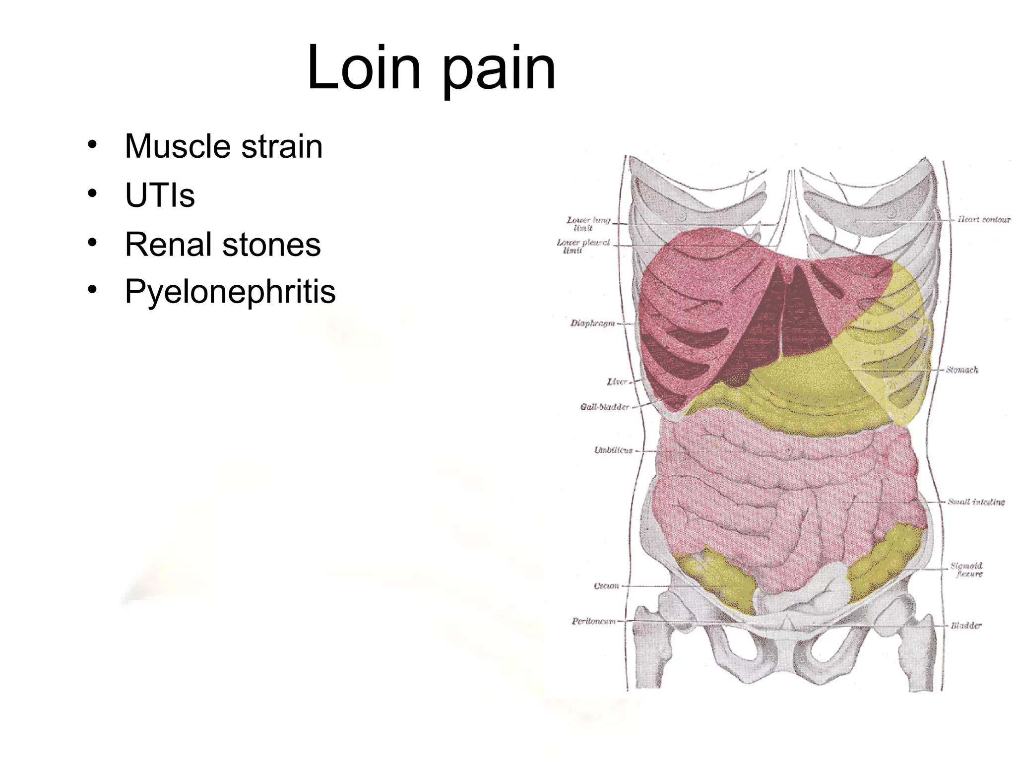 Diagnosis And Management Of Acute Abdominal Pain | PPT