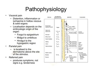 Diagnosis And Management Of Acute Abdominal Pain | PPT