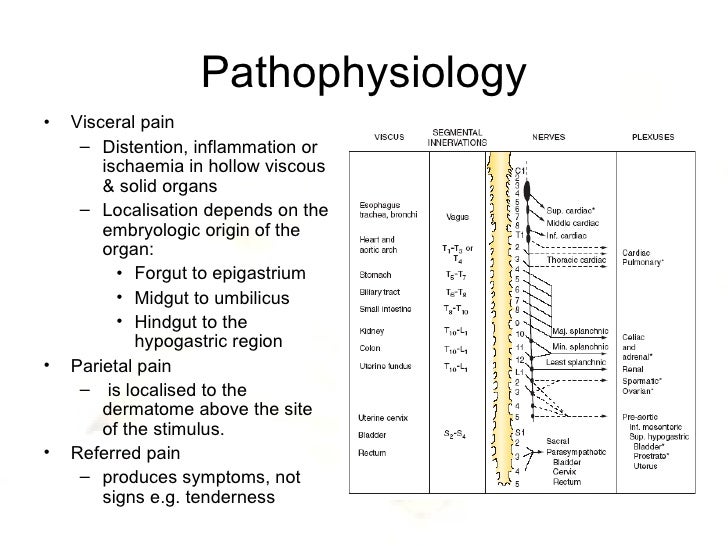 Diagnosis And Management Of Acute Abdominal Pain