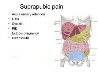 Diagnosis And Management Of Acute Abdominalpain | PPT