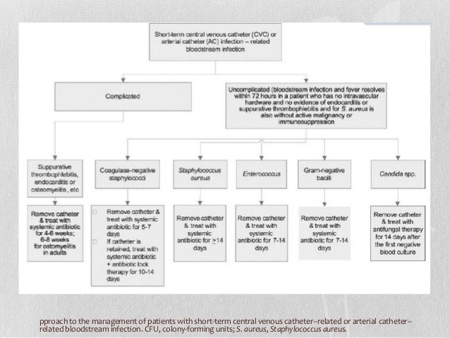 Diagnosis and management of central line infections