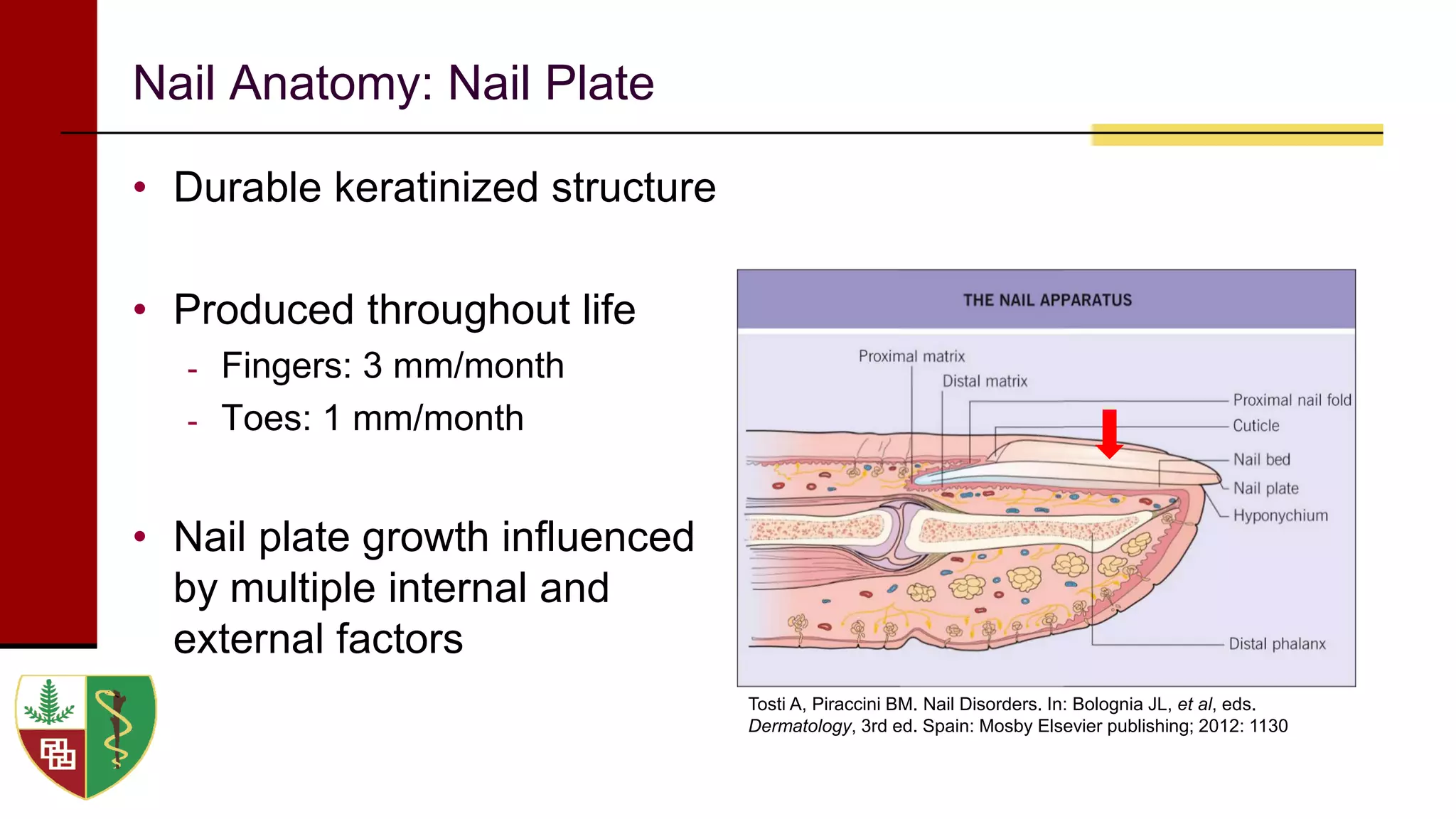 diagnosis_and_management_of_common_nail_disorders_-_yost.pdf
