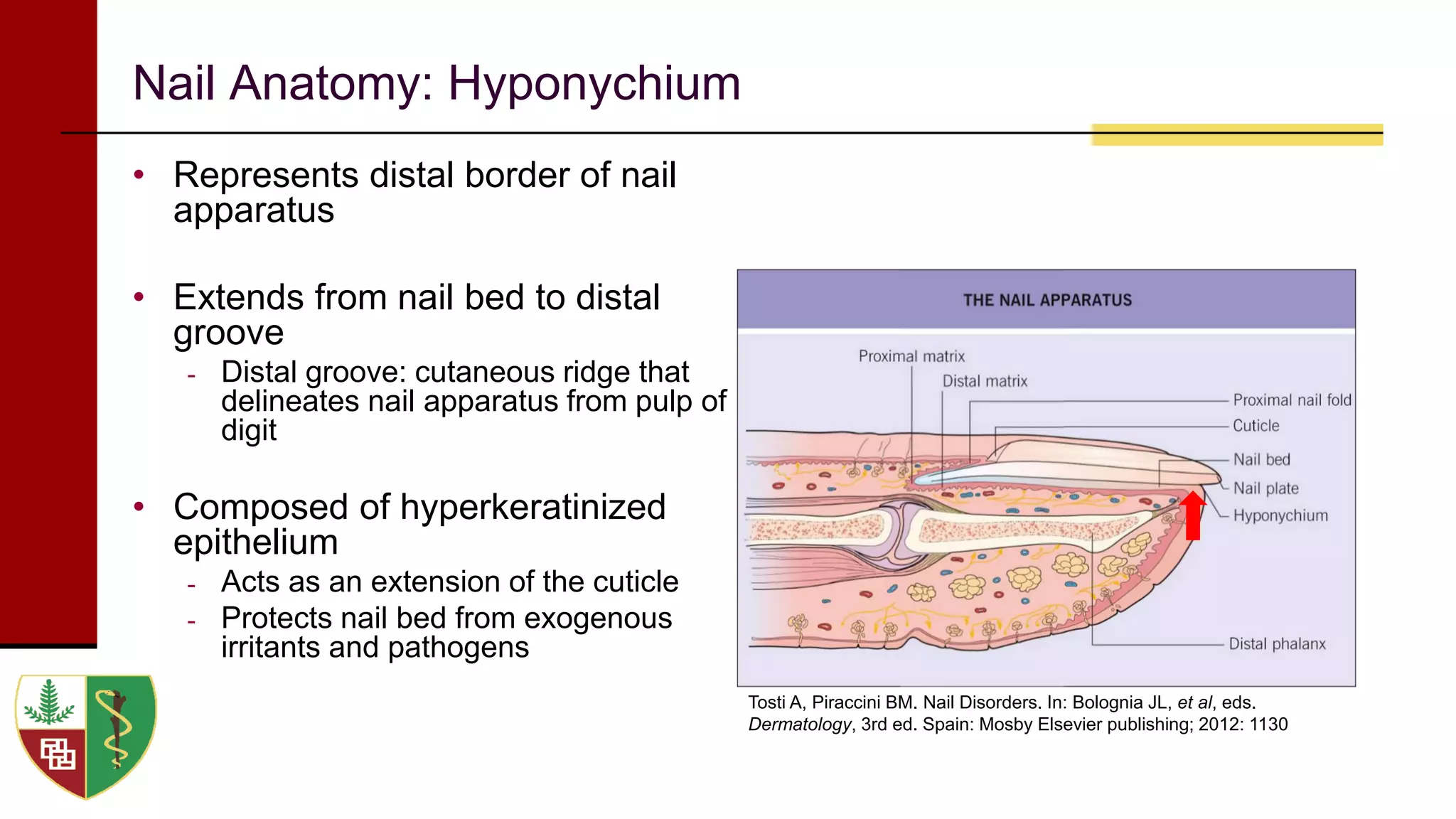 diagnosis_and_management_of_common_nail_disorders_-_yost.pdf