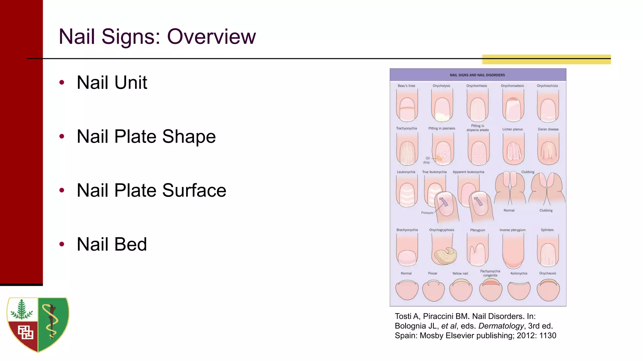 diagnosis_and_management_of_common_nail_disorders_-_yost.pdf