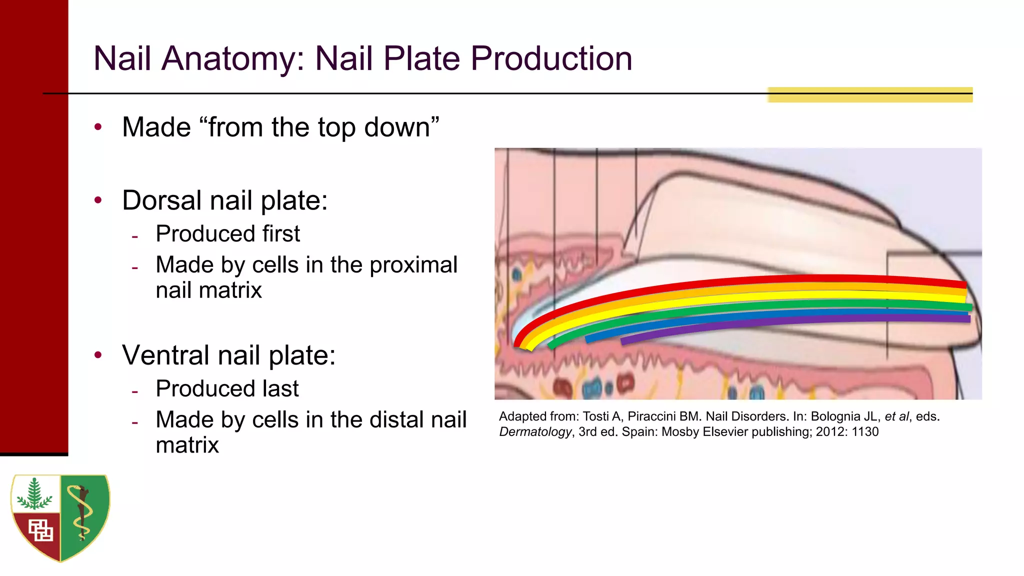 diagnosis_and_management_of_common_nail_disorders_-_yost.pdf
