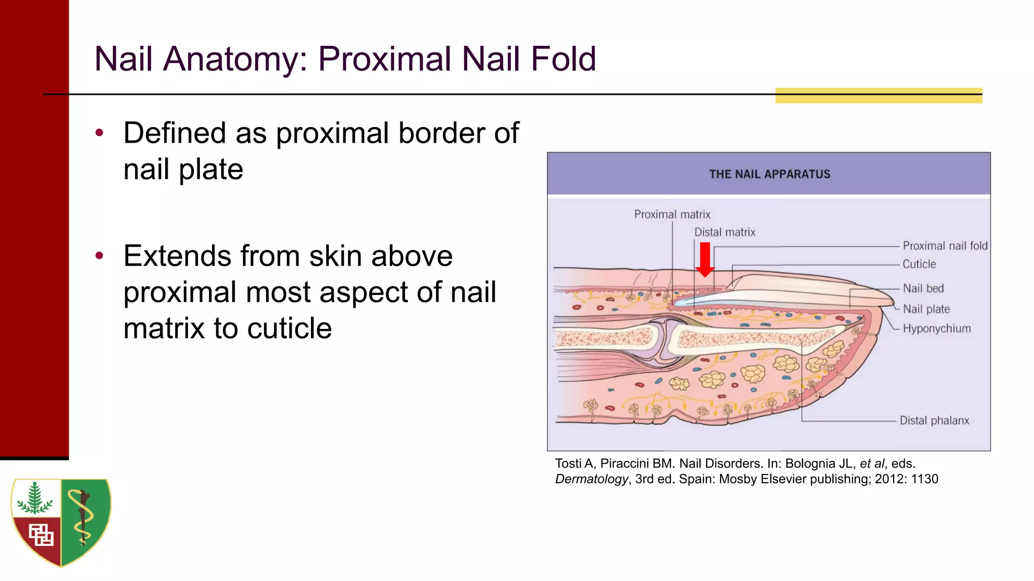 diagnosis_and_management_of_common_nail_disorders_-_yost.pdf