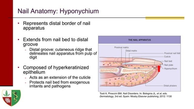 diagnosis_and_management_of_common_nail_disorders_-_yost.pdf