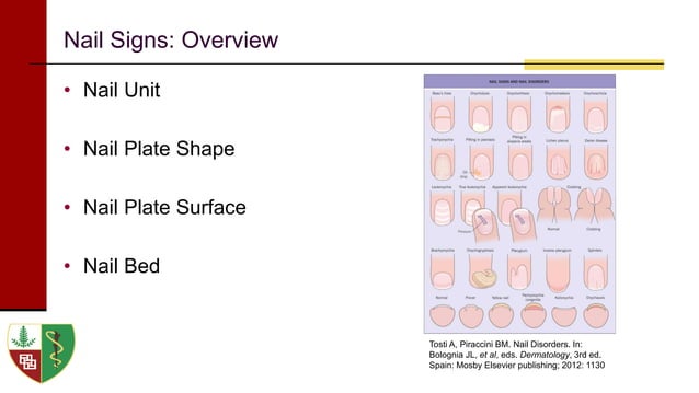 diagnosis_and_management_of_common_nail_disorders_-_yost.pdf