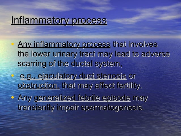 Diagnosis and management of male infertility | PPT