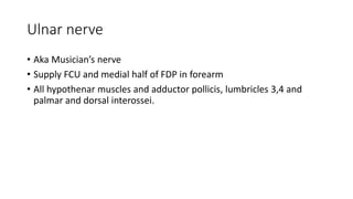 Diagnosis and principles of management of radial^J.pptx