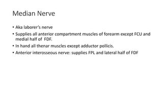 Diagnosis and principles of management of radial^J.pptx