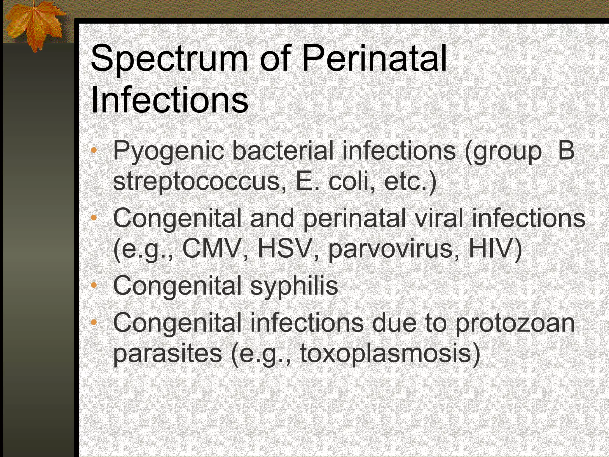 Diagnosis And Therapy Of Perinatal Infection | PPT