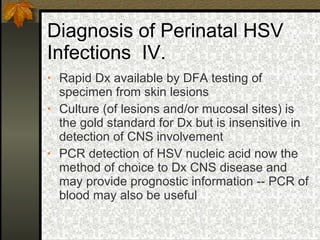 Diagnosis And Therapy Of Perinatal Infection | PPT