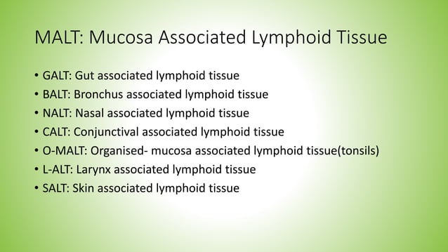 Diagnosis and treatment of gi malt lymphoma | PPTX