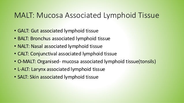 Diagnosis and treatment of gi malt lymphoma