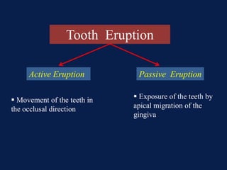 Diagnosis and treatment of gummy smile | PDF