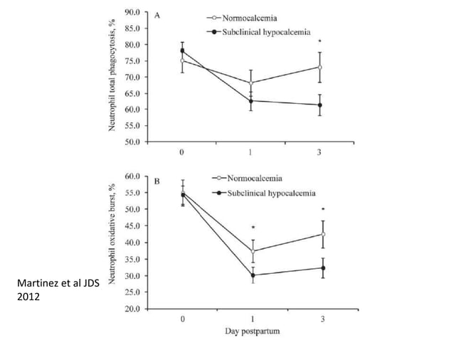 Diagnosis and Treatment of Metritis | PPTX | Digestive Disorders ...