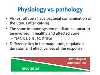 Diagnosis and Treatment of Metritis | PPTX