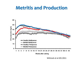 Diagnosis and Treatment of Metritis | PPTX