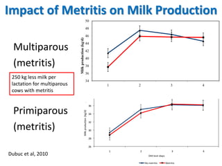 Diagnosis and Treatment of Metritis | PPTX