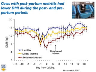 Diagnosis and Treatment of Metritis | PPTX