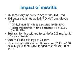 Diagnosis and Treatment of Metritis | PPTX