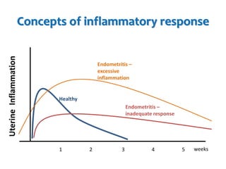 Diagnosis and Treatment of Metritis | PPTX