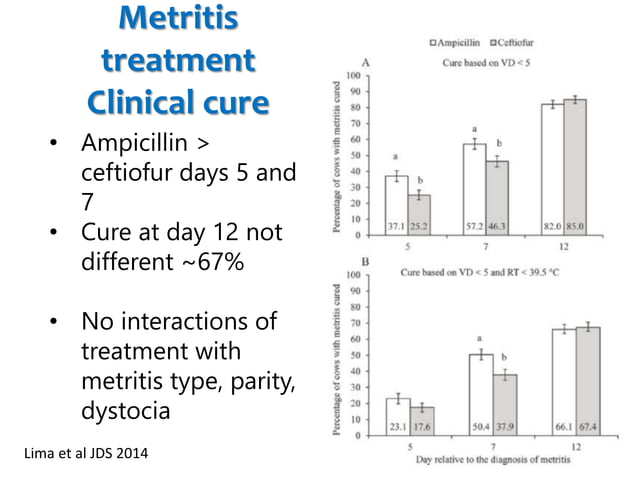 Diagnosis and Treatment of Metritis | PPTX | Digestive Disorders ...