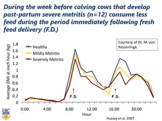 Diagnosis and Treatment of Metritis | PPTX