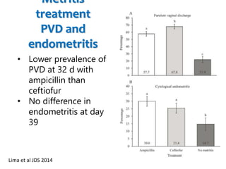 Diagnosis and Treatment of Metritis | PPTX