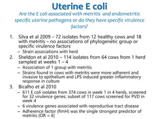 Diagnosis and Treatment of Metritis | PPTX