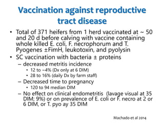 Diagnosis and Treatment of Metritis | PPTX