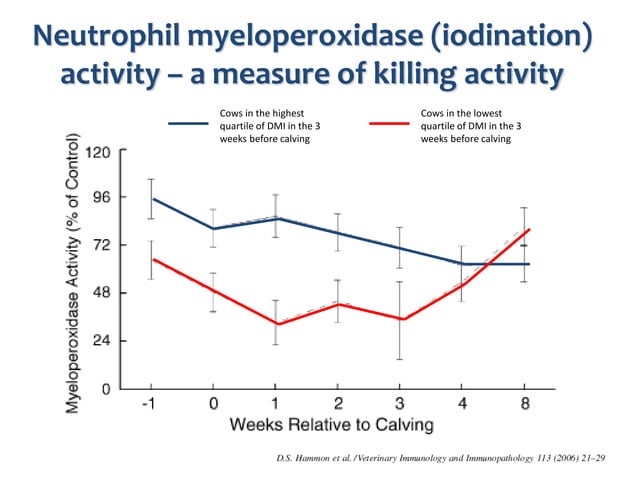 Diagnosis and Treatment of Metritis | PPTX | Digestive Disorders ...