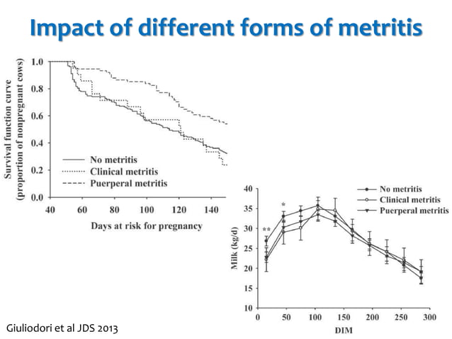 Diagnosis and Treatment of Metritis | PPT