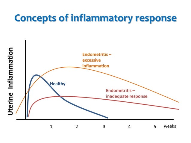 Diagnosis and Treatment of Metritis | PPT